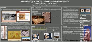 Bioarchaeology presentation | free to view