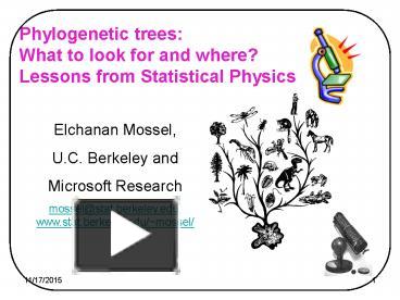 Phylogenetic trees: presentation | free to download