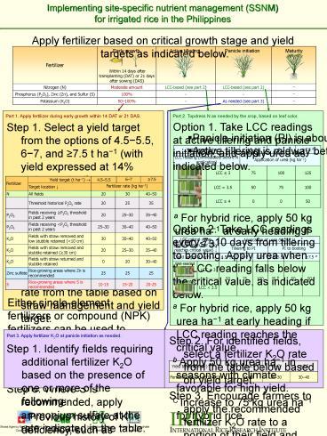 Implementing sitespecific nutrient management SSNM presentation | free ...