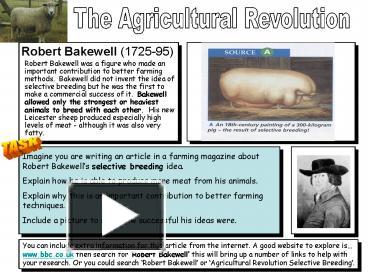 PPT – Robert Bakewell 172595 PowerPoint presentation | free to view ...