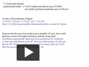 7'4 Gorter and Grendel presentation | free to view