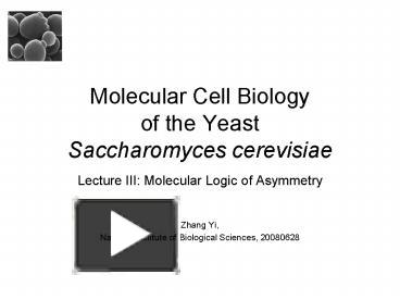 PPT – Molecular Cell Biology of the Yeast Saccharomyces cerevisiae ...