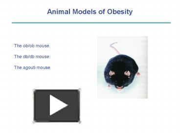 Animal Models of Obesity presentation | free to view