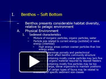 Benthos Soft Bottom presentation | free to view
