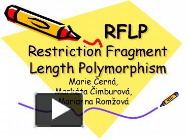 PPT – RFLP Restriction Fragment Length Polymorphism PowerPoint ...