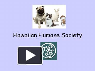 PPT – Hawaiian Humane Society PowerPoint presentation | free to view ...
