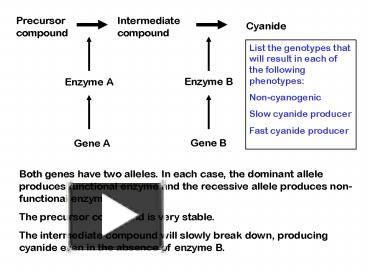 PPT – Precursor compound PowerPoint presentation | free to download ...
