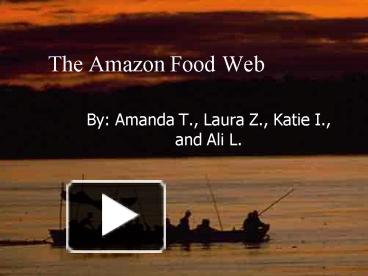 PPT – The Amazon Food Web PowerPoint presentation | free to view - id ...