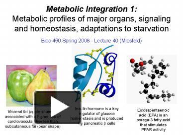 PPT – Metabolic Integration 1: Metabolic profiles of major organs ...