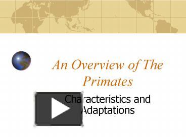 An Overview of The Primates presentation | free to view