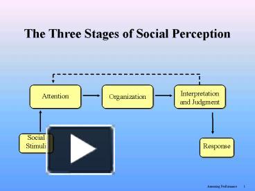 The Three Stages of Social Perception presentation | free to view