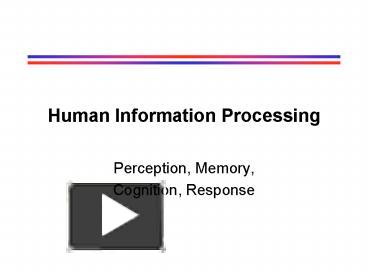 Human Information Processing presentation | free to view