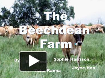 PPT – Beechdean Farm PowerPoint presentation | free to view - id: 19014 ...