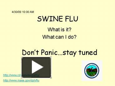 Swine Flu Presentation Free To View