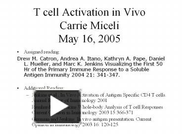 T cell Activation in Vivo Carrie Miceli May 16, 2005 presentation ...
