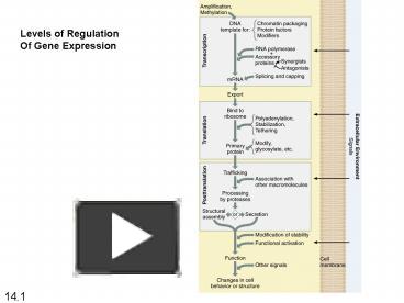 PPT – Levels of Regulation PowerPoint presentation | free to view - id ...
