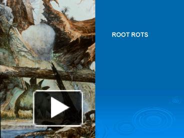 Root rot presentation | free to view