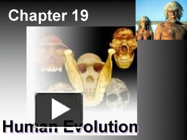Human Evolution presentation | free to view