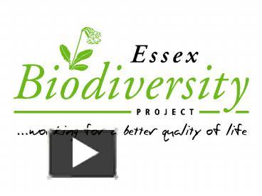 PPT – Mark Iley PowerPoint presentation | free to view - id: 199ef4-ZDc1Z