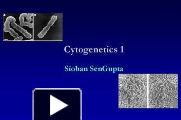 PPT – Cytogenetics II PowerPoint presentation | free to view - id ...