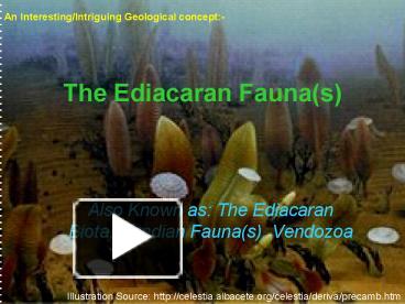 The Ediacaran Faunas presentation | free to view