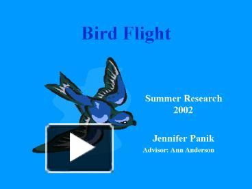 Bird Flight presentation | free to view
