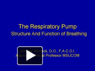 The Respiratory Pump Structure And Function of Breathing presentation ...