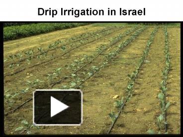 Drip Irrigation in Israel presentation | free to view