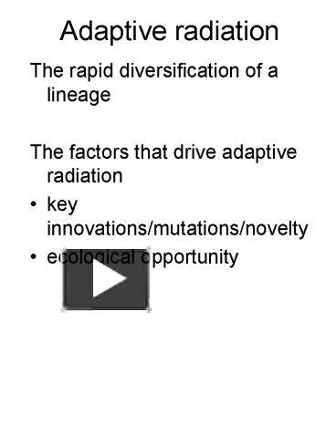 Adaptive radiation presentation | free to download