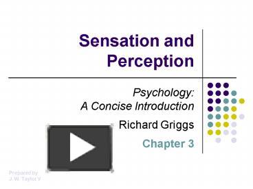 PPT – Sensation and Perception PowerPoint presentation | free to view ...