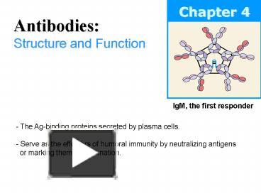 PPT – Basic Structure of Antibodies PowerPoint presentation | free to ...