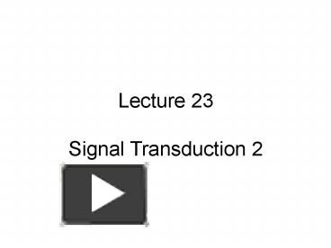 PPT – Lecture 23 Signal Transduction 2 PowerPoint presentation | free ...