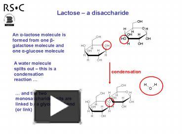 condensation presentation | free to view