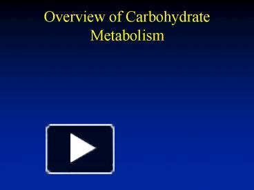 PPT – Overview of Carbohydrate Metabolism PowerPoint presentation ...