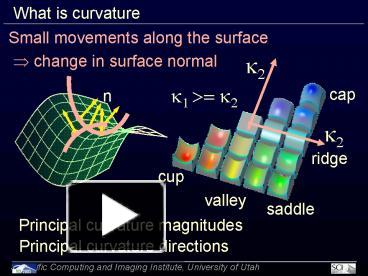 What is curvature presentation | free to view