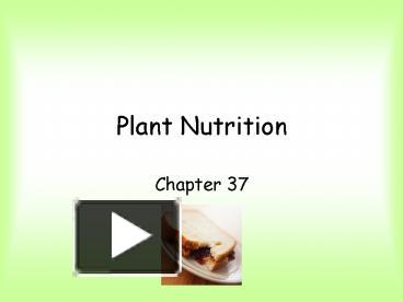 Plant Nutrition presentation | free to download