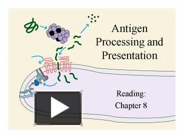 Antigen Processing and Presentation presentation | free to view