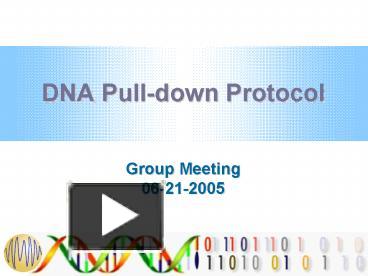 DNA Pull-down Protocol presentation | free to view