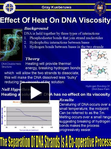Effect Of Heat On DNA Viscosity presentation | free to view