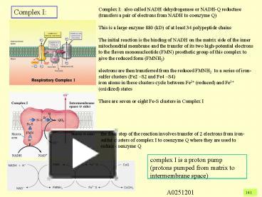 PPT – Complex I: also called NADH dehydrogenase or NADHQ reductase ...