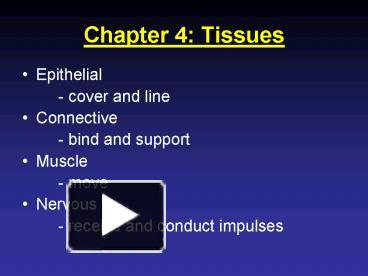 PPT – Chapter 4: Tissues PowerPoint presentation | free to view - id ...