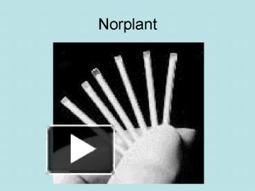 PPT – Norplant PowerPoint presentation | free to view - id: 1ace46-ZDc1Z