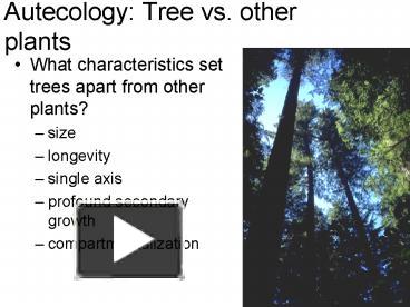 Autecology: Tree vs' other plants presentation | free to view