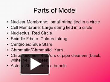 PPT – Parts of Model PowerPoint presentation | free to view - id ...
