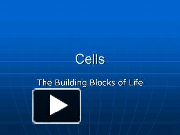PPT – Cells PowerPoint presentation | free to view - id: 1addf0-ZjM1M