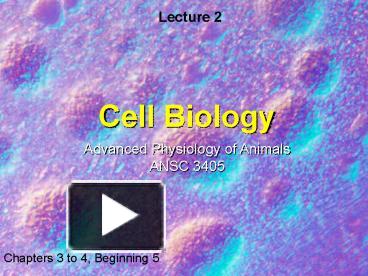 PPT – Cell Biology PowerPoint presentation | free to view - id: 1ae752 ...
