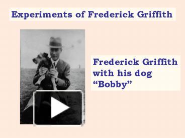 Experiments of Frederick Griffith presentation | free to view