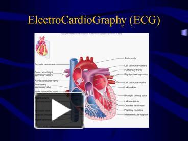 PPT – ElectroCardioGraphy ECG PowerPoint presentation | free to view ...