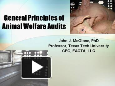 PPT – General Principles of Animal Welfare Audits PowerPoint ...