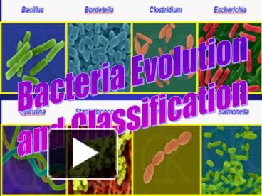 Bacteria Evolution presentation | free to view